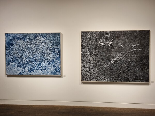 Djong Yun 윤정 개인전