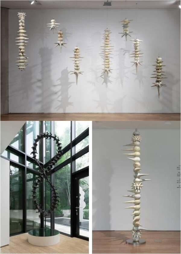 김미현 -검은무지개가 뜬정원,박도윤-Reverse Weathering 展
