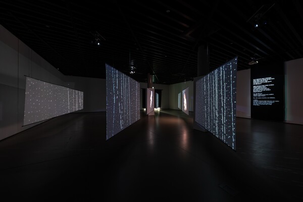 김미현 -검은무지개가 뜬정원,박도윤-Reverse Weathering 展
