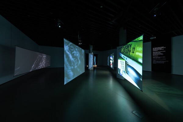 김미현 -검은무지개가 뜬정원,박도윤-Reverse Weathering 展